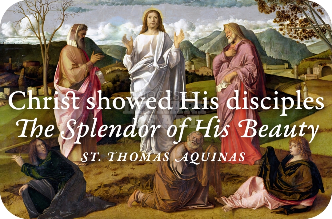 Diocesan Library of Art - Christ Showed His Disciples The Splendor Of ...