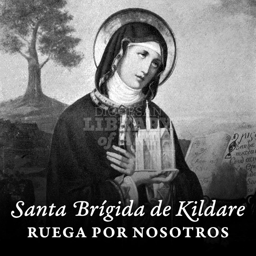 Diocesan Library of Art - Saint Brigid of Kildare